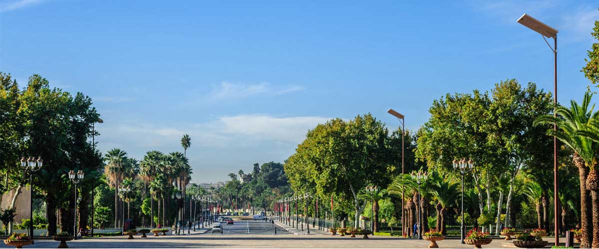 Solar Street Lighting for Rural Areas, Solar Rural Areas Lights